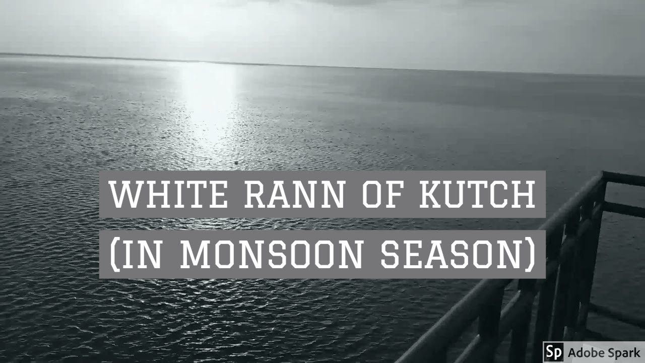 White Rann of Kutch in Monsoon! It turns to sea - YouTube