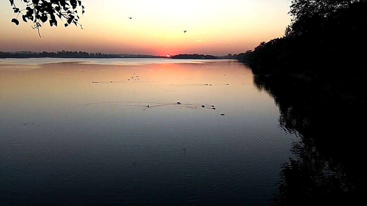Sunset at sirpur lake indore - YouTube