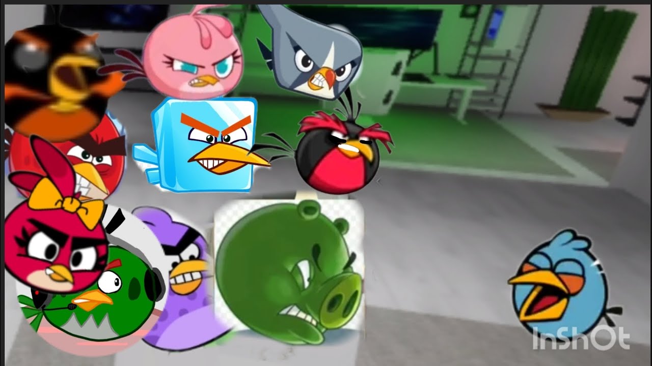 max bird pedido por @Un_Fan_De_Kung_Fu_Wa @Cdvttv - YouTube