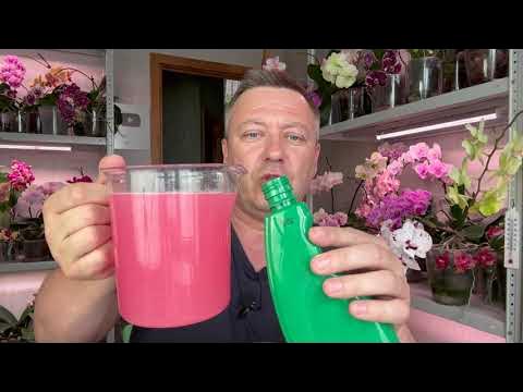БАКОВАЯ СМЕСЬ для орхидей // ЭТО ИЗБАВЛЯЕТ орхидеи от паразитов ...