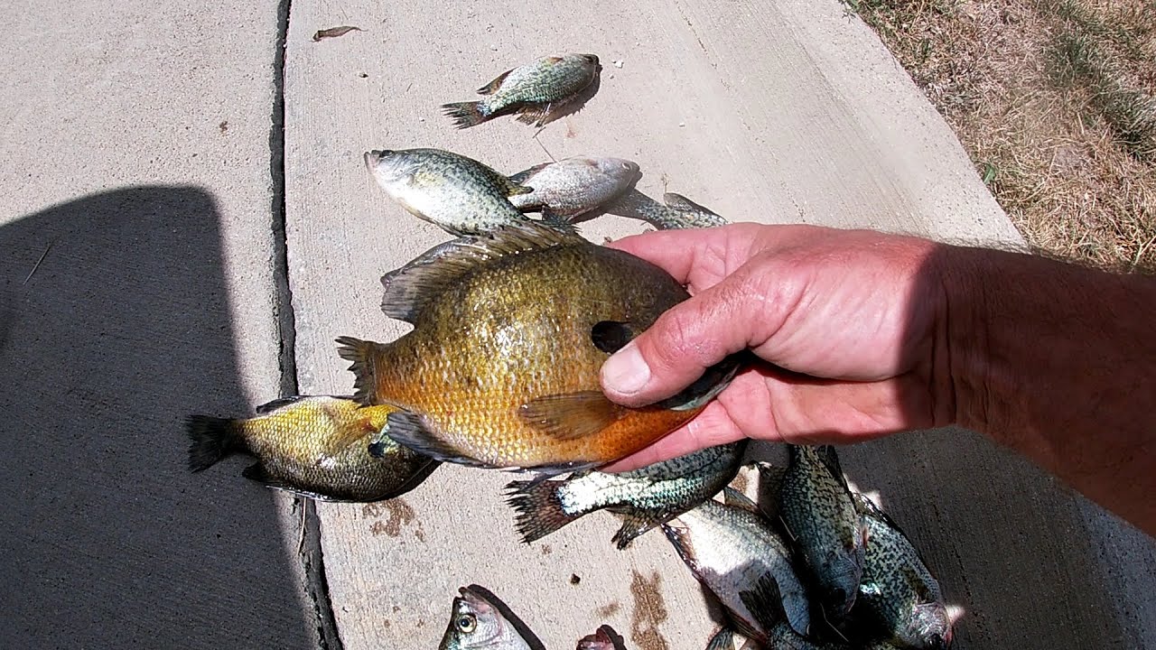 Catching Crappie to eat at West Lake! - YouTube