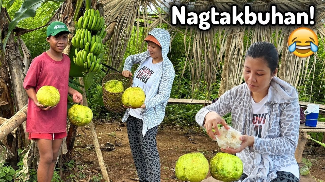 Pamimitas ng Suha sa Bundok! Nagtakbuhan kami | ROMALYN VLOGS - YouTube