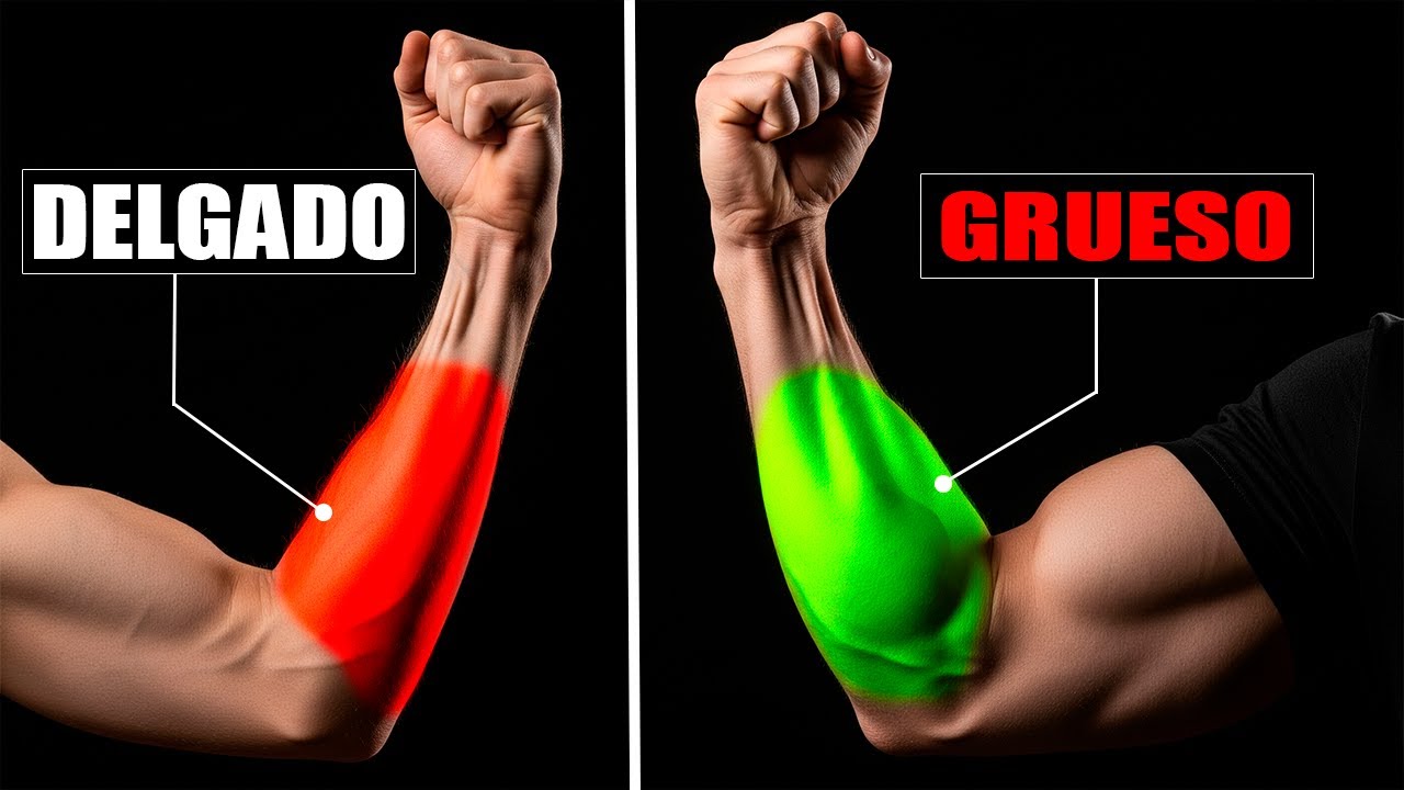 Solo 2 Ejercicios Para Tener ANTEBRAZOS MARCADOS y Fuertes - YouTube