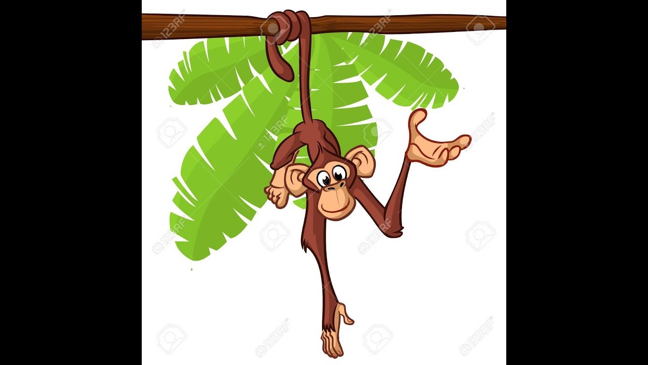 Swing Through the Trees With Amazing Spider Monkeys - YouTube