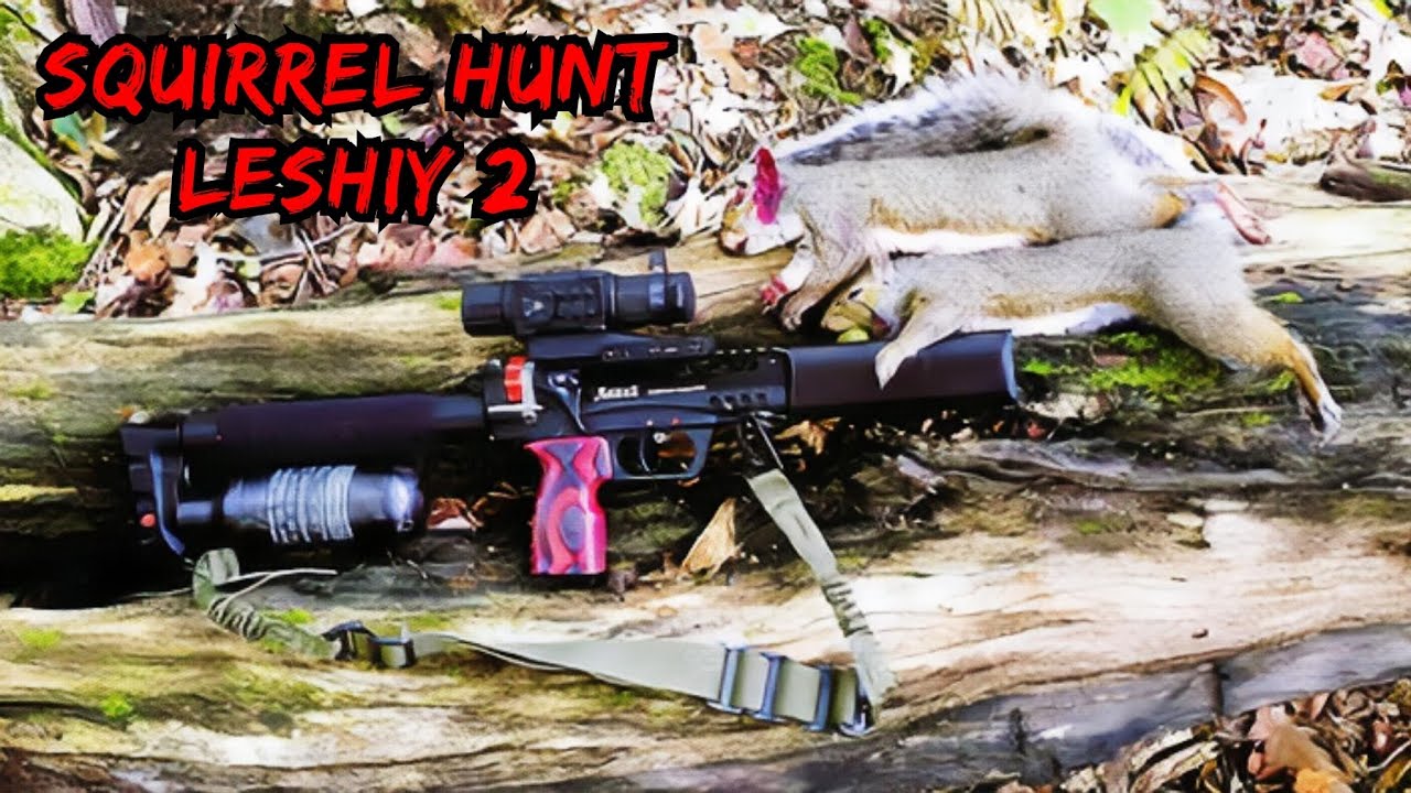 Early Season Air Rifle Squirrel Hunt With the Leshiy 2 - YouTube