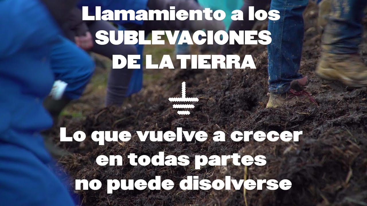A las Sublevaciones de la Tierra - Lo que vuelve a crecer en todas ...