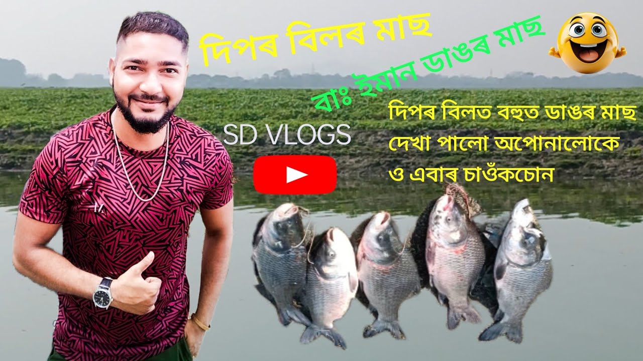 Deepor beel ||| Dipor bil in guwahati || How looks Deepor beel | Dipor ...