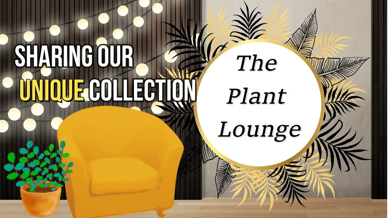 Hidden Jungles In Homes: Exploring SECRET Plant Paradises - YouTube