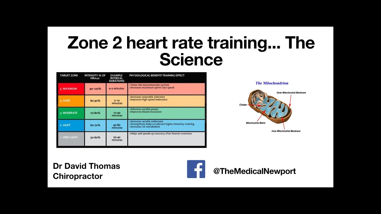 Zone2 heart rate training...The Science - YouTube