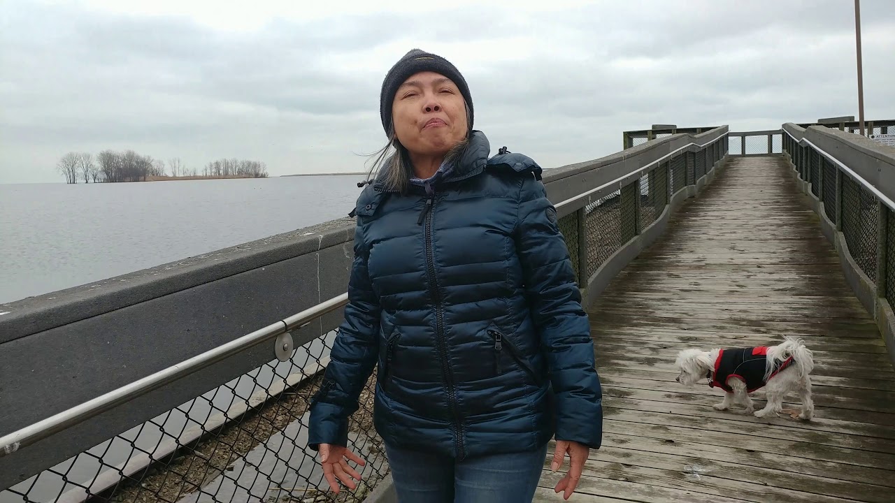 Pointe Mouillee State Game Area - One of the places I love the most ...