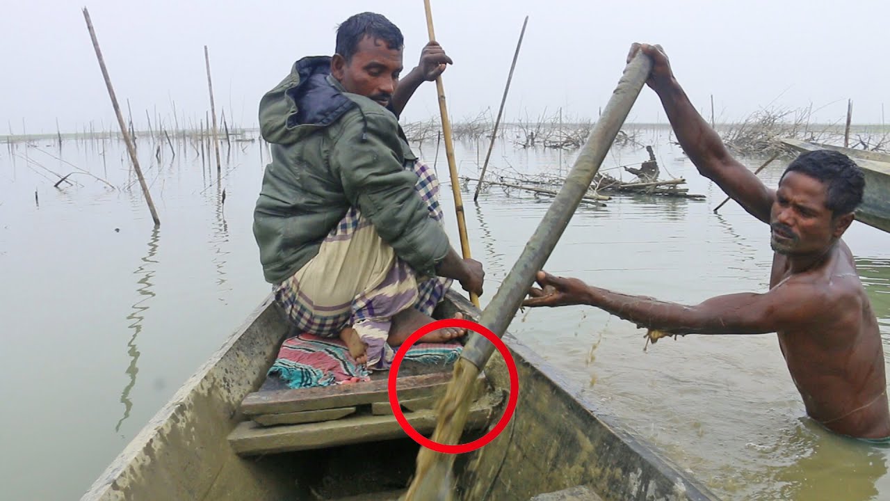 unseen fish trapping system | primitive bamboo fish trap | peacock eels ...