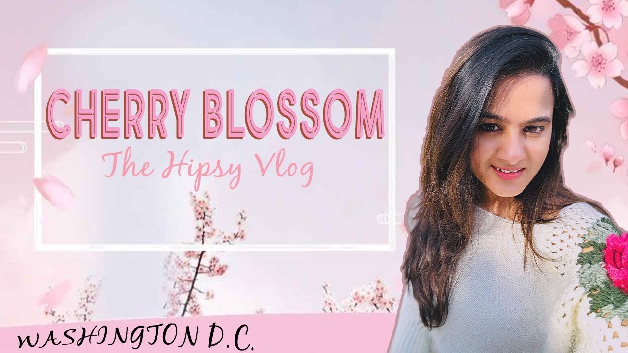 Cherry Blossom 2023 in Washington D.C. | Spring Season 🌸 || The Hipsy - YouTube