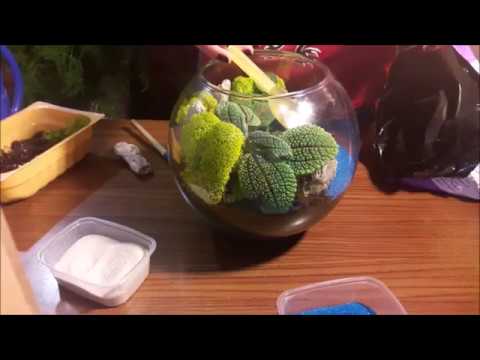 Флорариум для всех! DIY смотри скорей! - YouTube