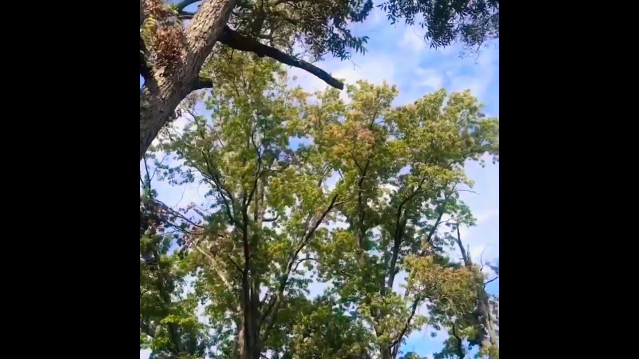 Oklahoma to Colorado, Colorado to Utah. July 2018 - YouTube
