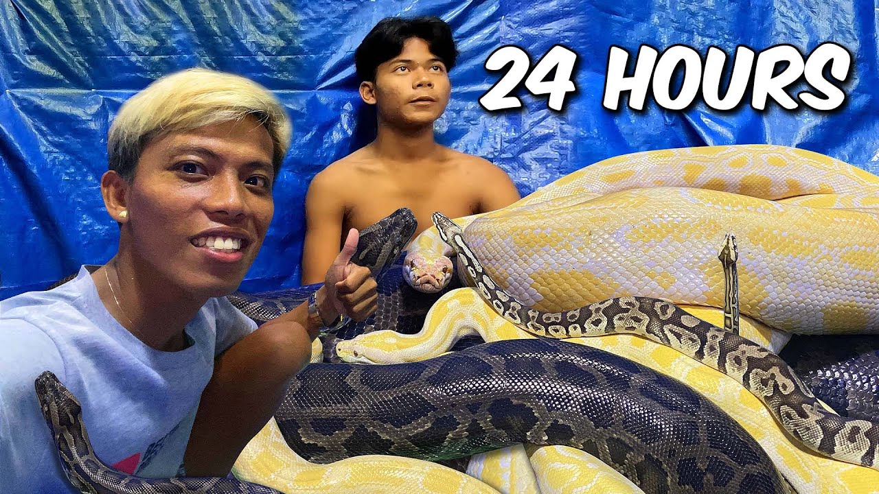 24 Hours Snake Massage - YouTube