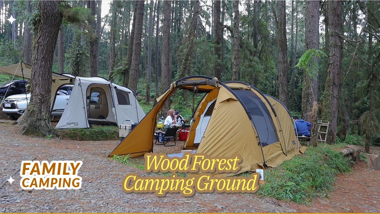 Camping keluarga di Wood Forest Cikole Bandung | Dingin 12C | Trekking ...