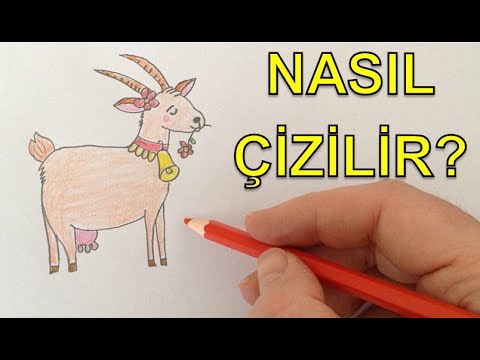 Keçi Resmi Nasıl Çizilir? - ilköğretim kolay resim çizimleri - anaokulu ...
