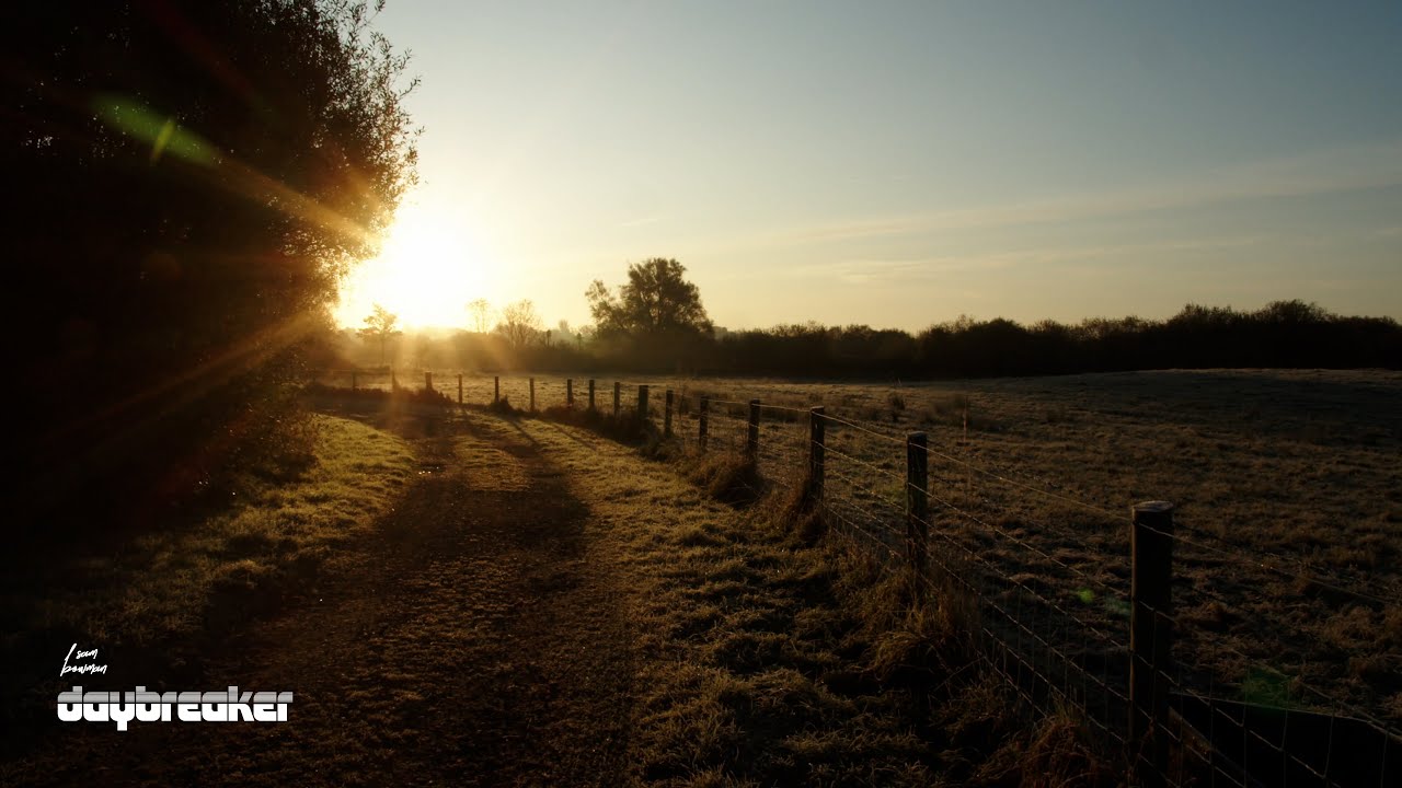 Sam Bowman - Daybreaker (feat. Xander Sallows) [LYRIC VIDEO] - YouTube ...