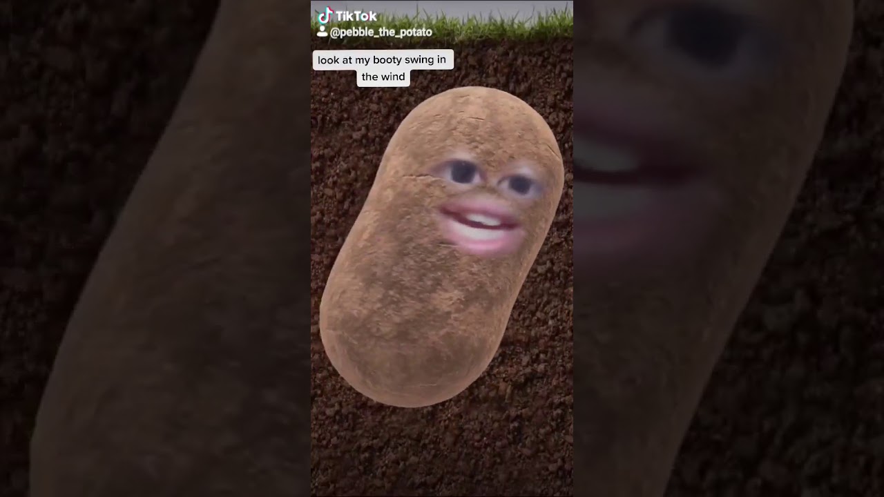 I'm a potatooo TikTok by Pebble the Potato - YouTube