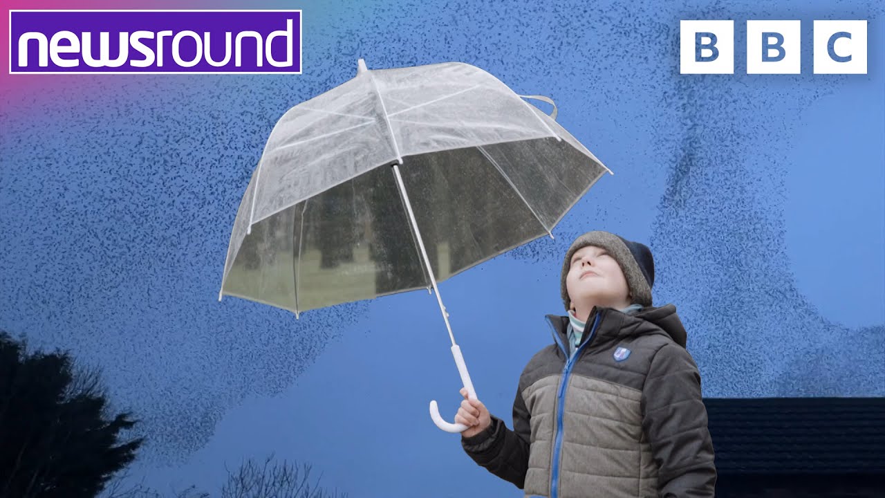 The village with a big bird poo problem | Newsround - YouTube