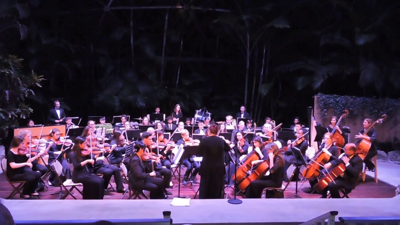 Hoe-Down from Rodeo...........Aaron Copland - YouTube