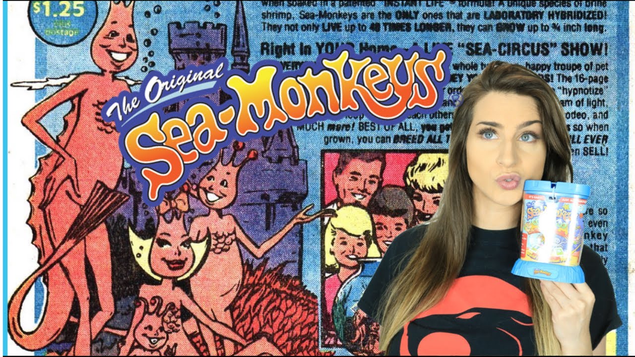 Seamonkey Comic Book Ad