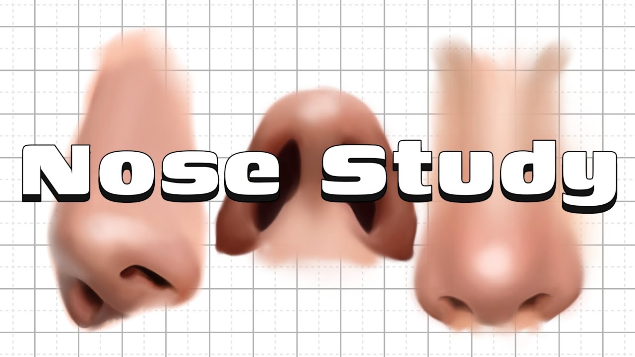 How To Draw The Nose | Nose Study | Digital Art - YouTube