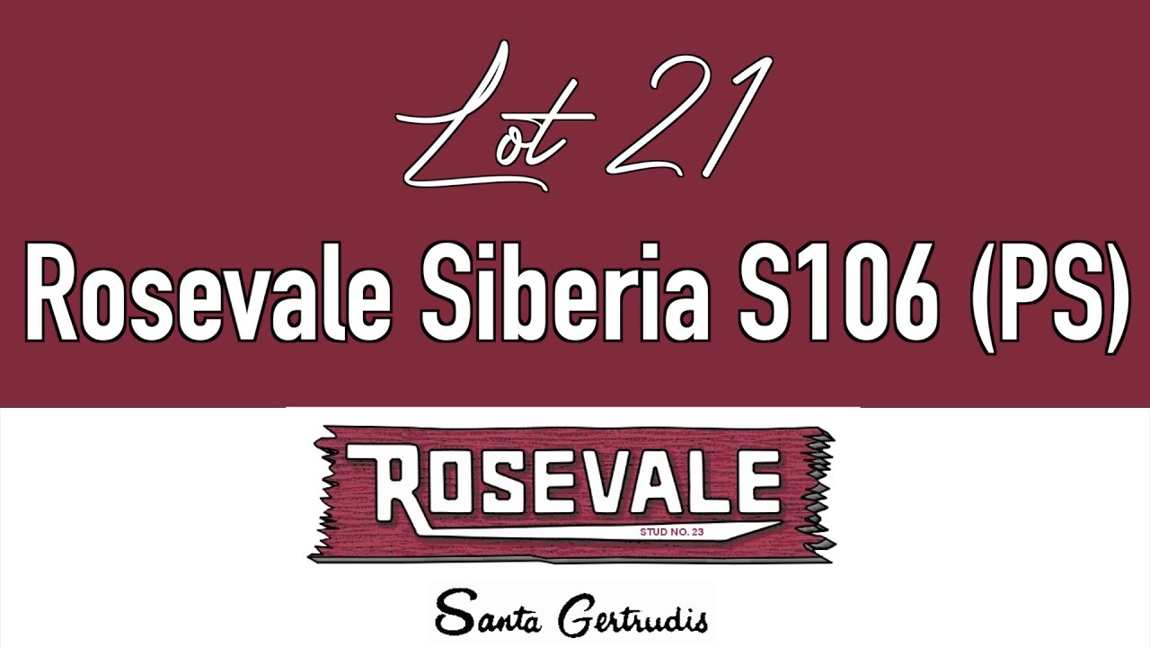 Lot 21 Rosevale Siberia S106 (PS) - YouTube