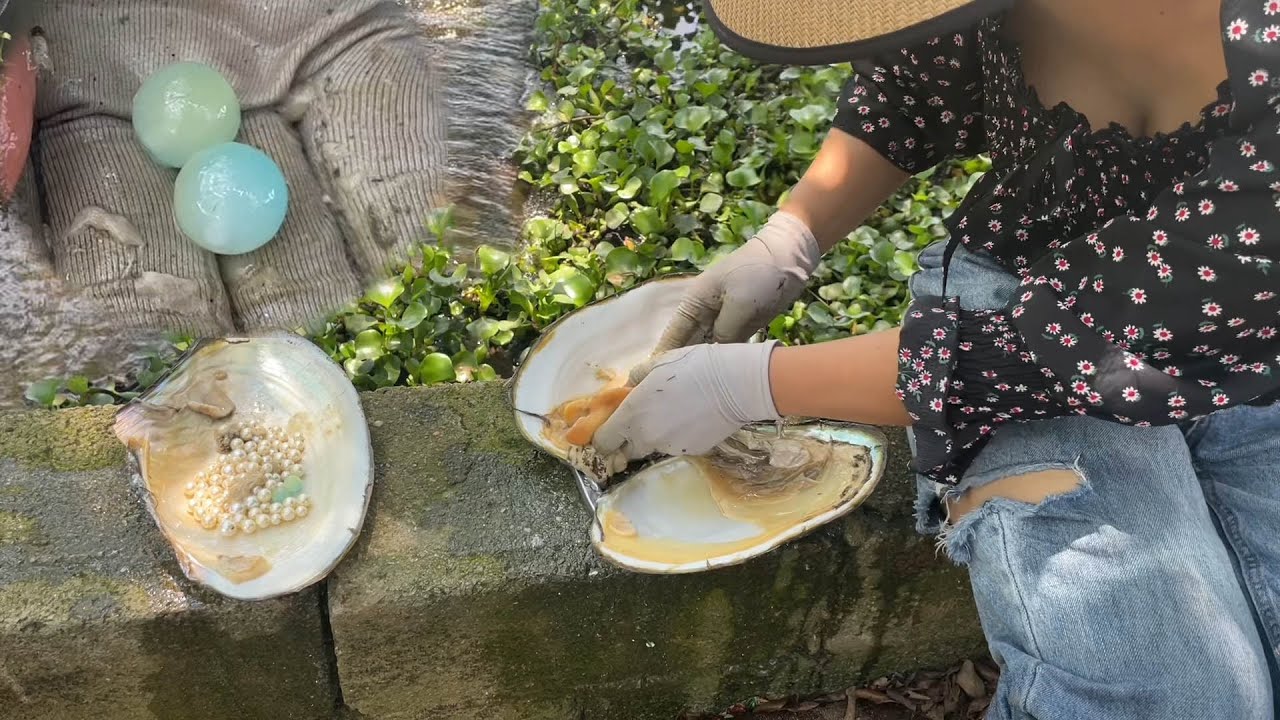 Picking up shells in the small river under high temperature, have you ...