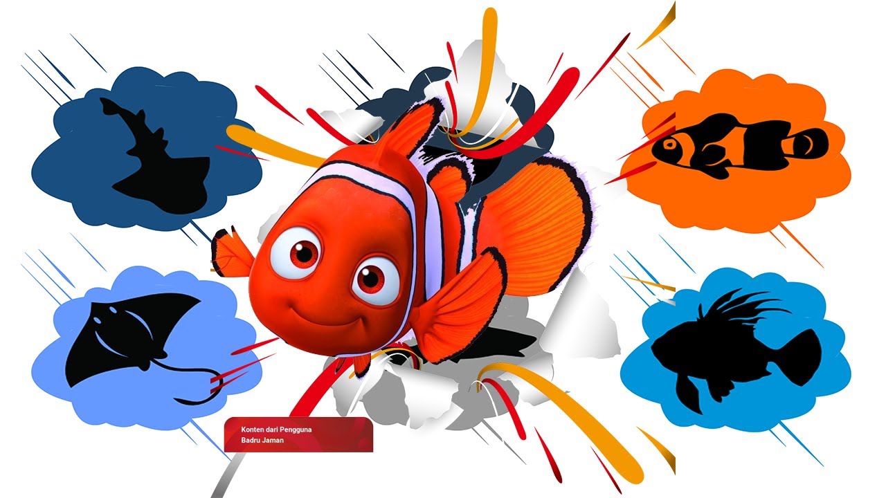 Tebak Gambar Ikan: Hiu Zebra, Paus Orca, Ikan Nemo, Ikan Pari, Hiu ...