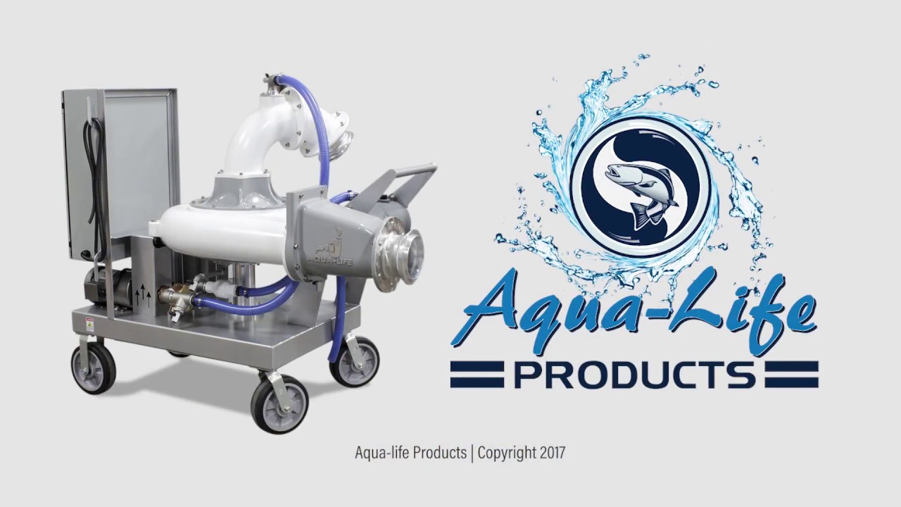 Live Fish Transfer Pump - BP60 RAS Grading Movement - YouTube