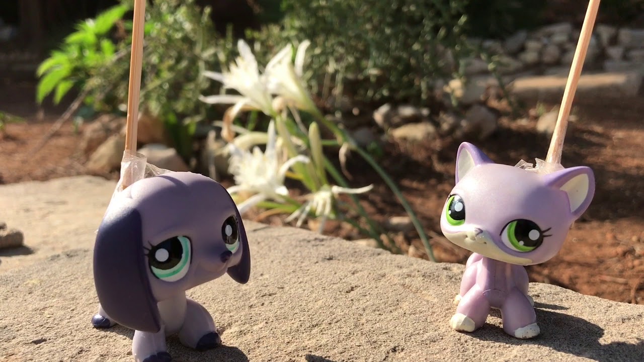 Alice LPS Contest 2018! - YouTube