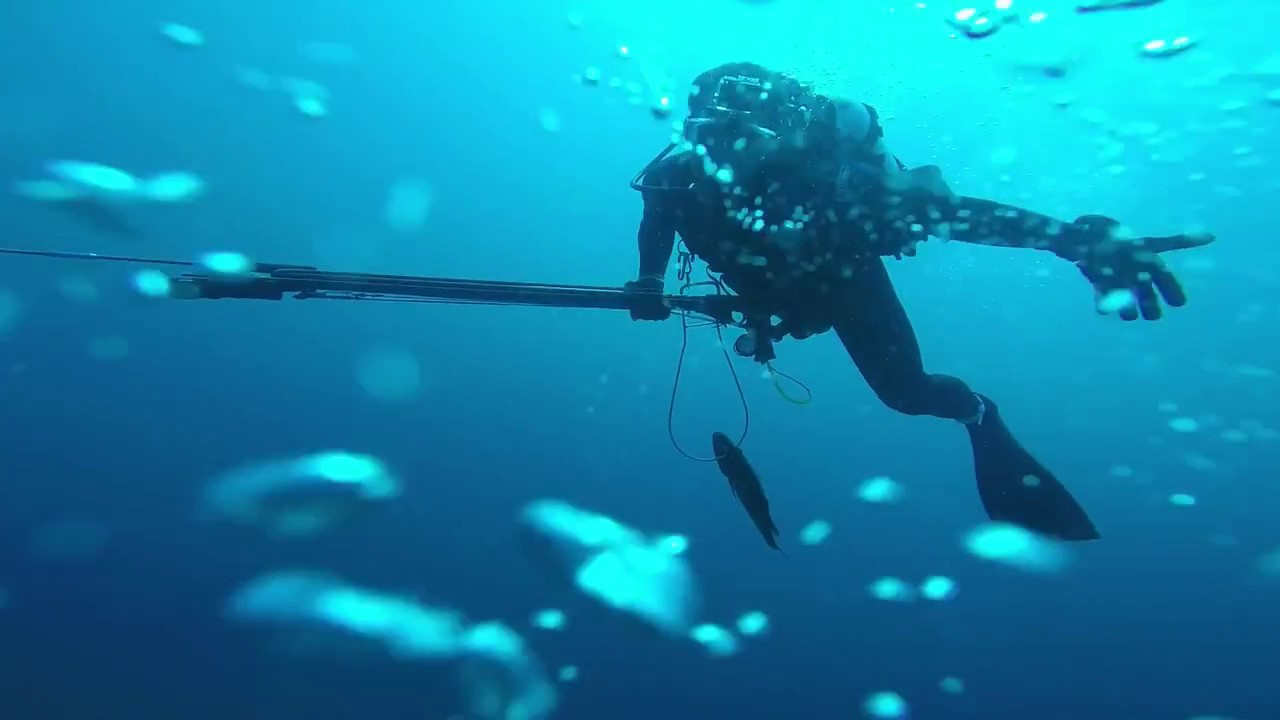 First Middle Grounds Dive - YouTube