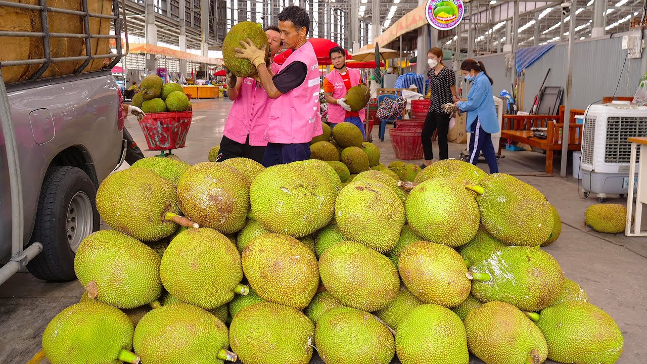 The Biggest Tropical Fruit!! Giant Jackfruit Cutting - Thai Street Food ...