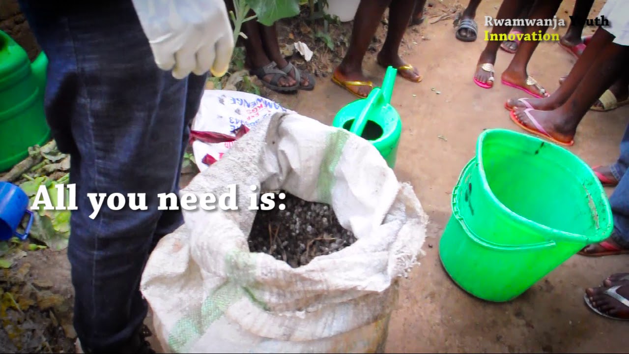 How to make a liquid manure using Animal dropping - YouTube