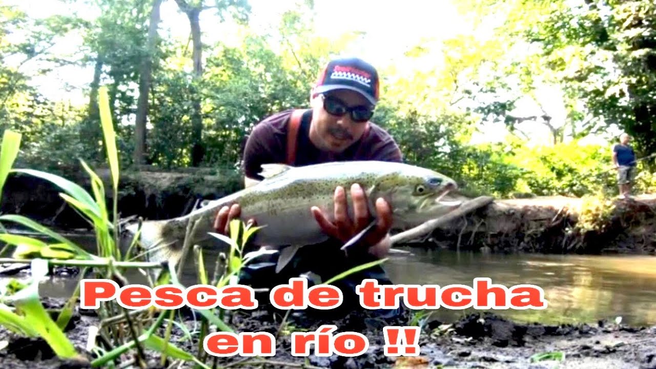 Pesca de truchas en río pescando con el loco !!! - YouTube