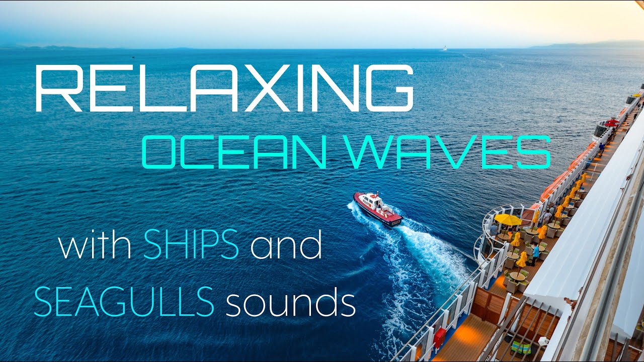 8 HOURS of Relaxing OCEAN Sounds with Seagulls, Ships Horn 🌊 Beach Sea ...