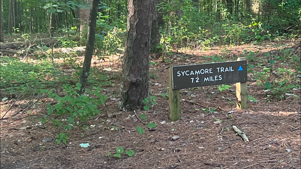 Sycamore Trail - Umstead state park - YouTube