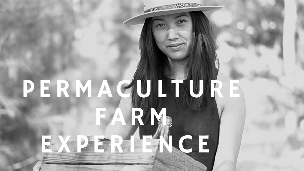 Permaculture Farm Experience | Murrnong Farm | Victoria, Australia | By ...