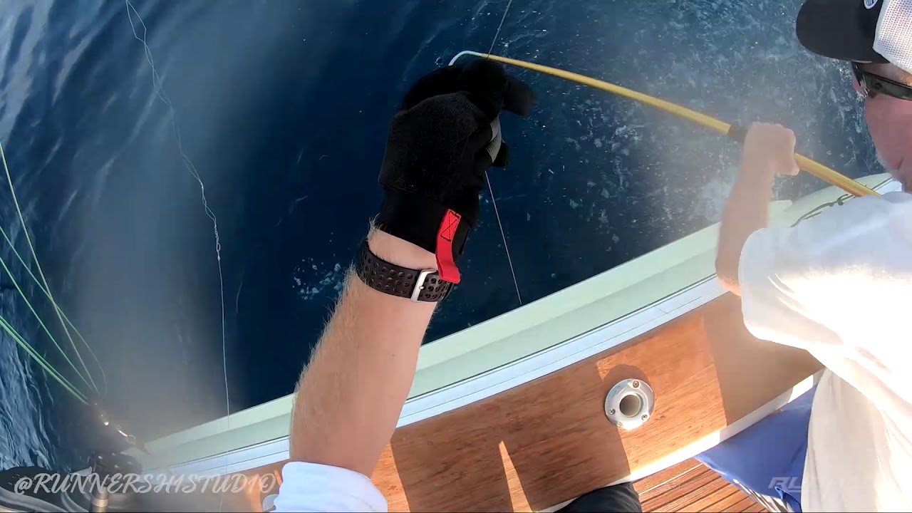 NJ’S LARGEST MAHI ON ROD & REEL? - YouTube