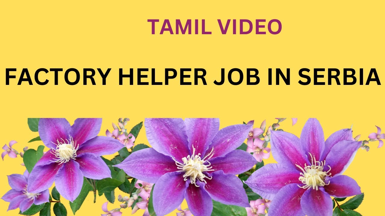 HELPER LABOUR JOB IN SERBIA EUROPE - PRODUCTION UNIT - EMPLOYMENT D ...