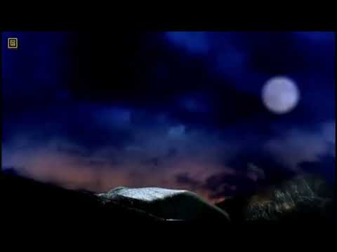 Kurtlar Vadisi Pusu - Jenerik Template