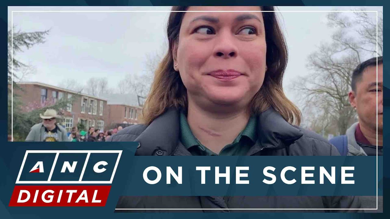 VP Sara slams House for going after vlogger supporters: What about ...