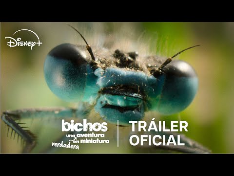 Bichos: Una verdadera aventura en miniatura | Tráiler oficial | Disney+