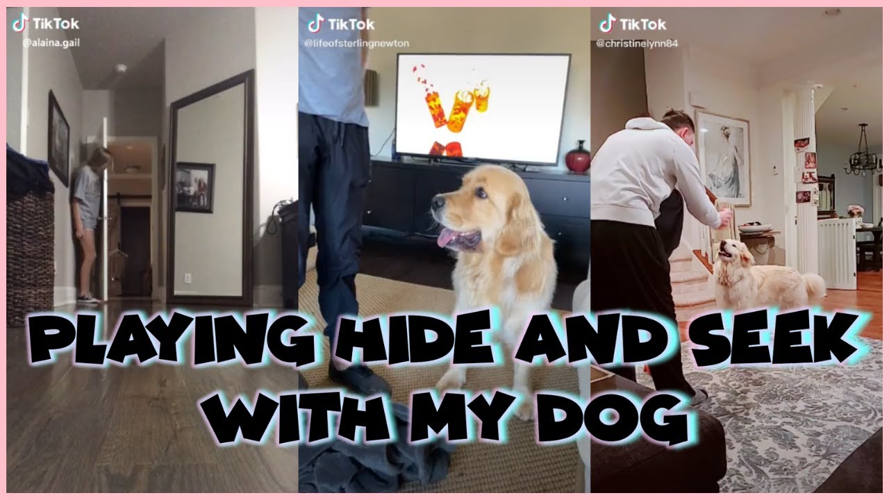 PLAYING HIDE AND SEEK WITH MY DOG TIK TOK COMPILATION - YouTube