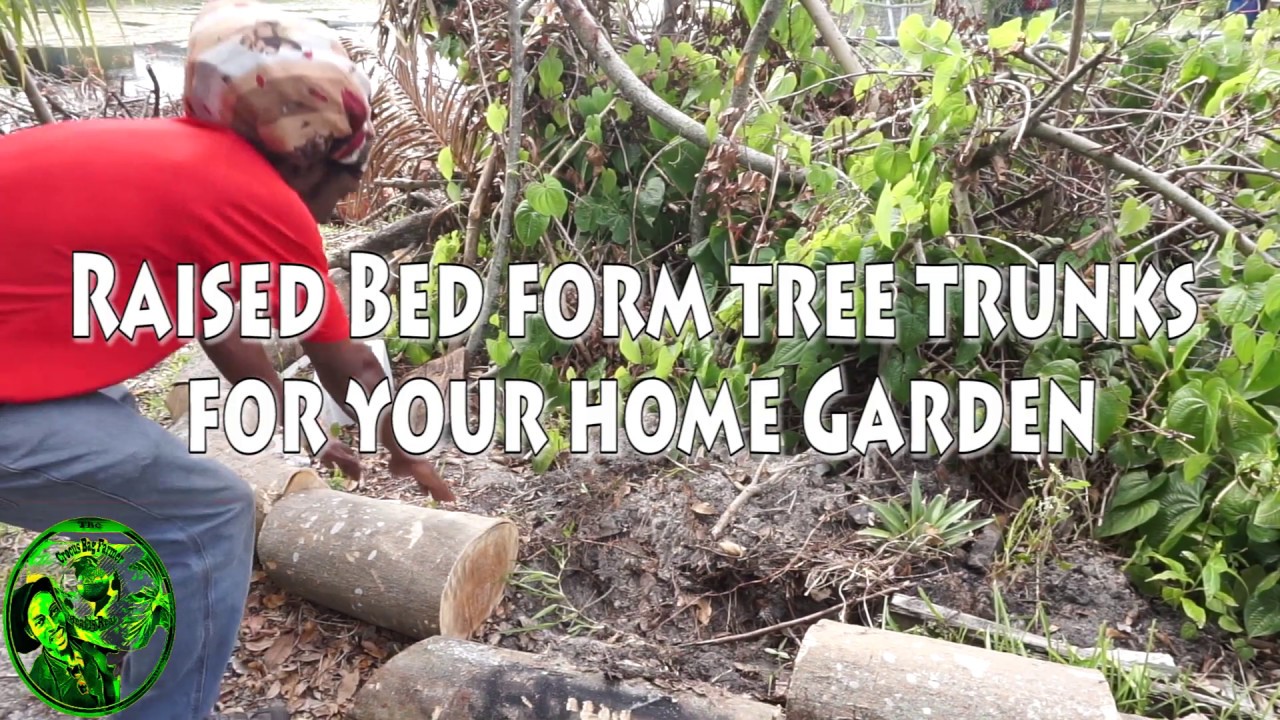 The Crocus Bag Farmer | Raised Bed from Tree Trunks | Home Garden - YouTube