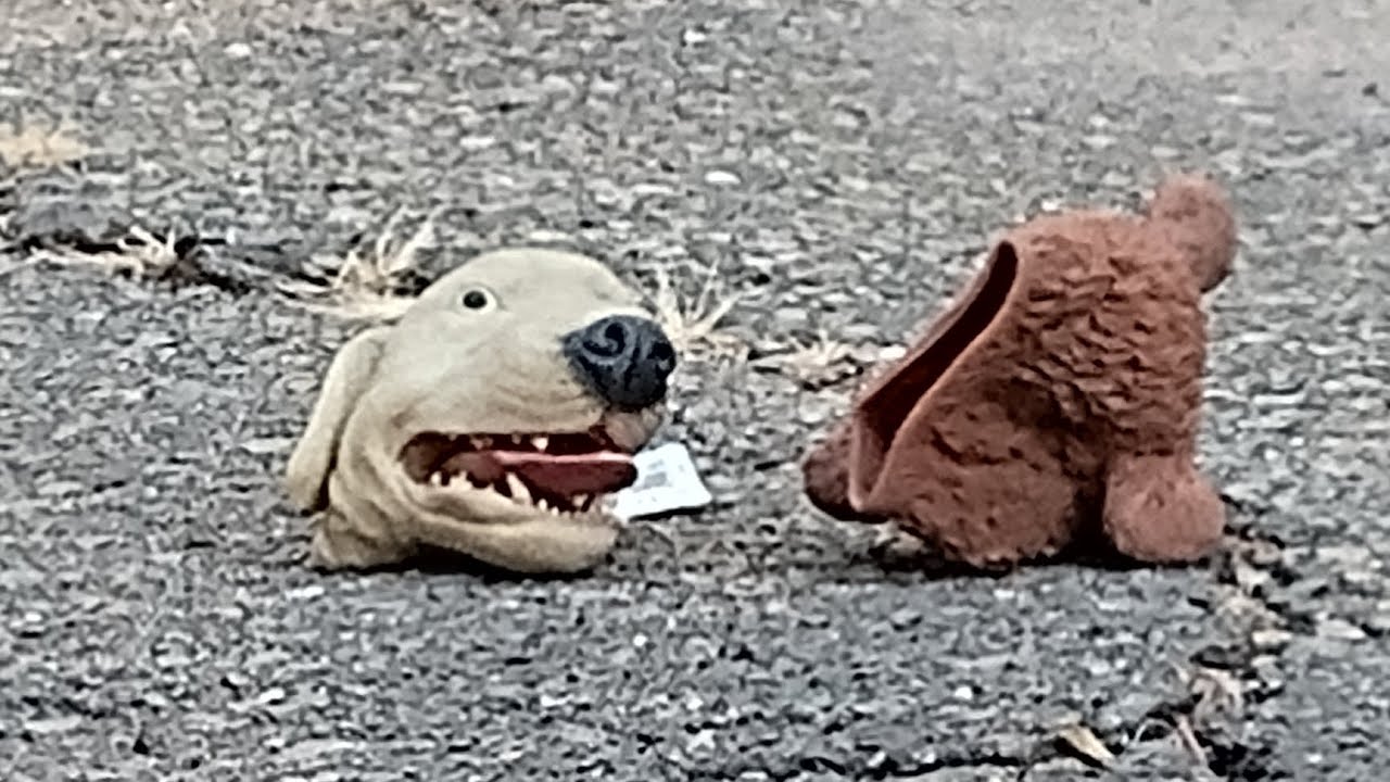 Just Chillin In My Room (Full Song) - YouTube