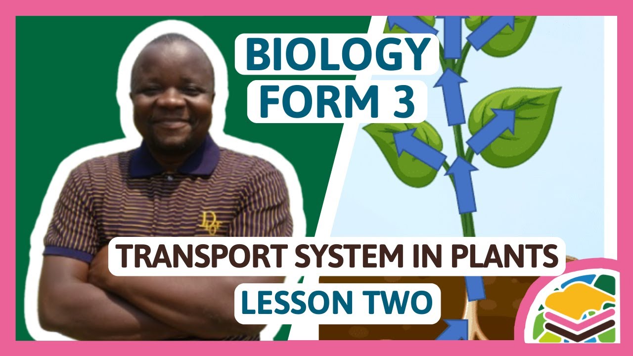 Transport system in Plants | F3 Biology (Lesson 2) - YouTube