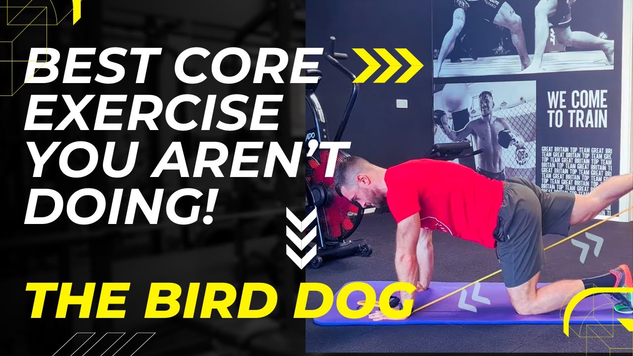 CORE FOUNDATIONS: Master this key exercise - The BIRD DOG! - YouTube
