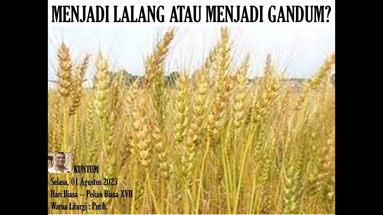 Menjadi Lalang Atau Menjadi Gandum? - YouTube